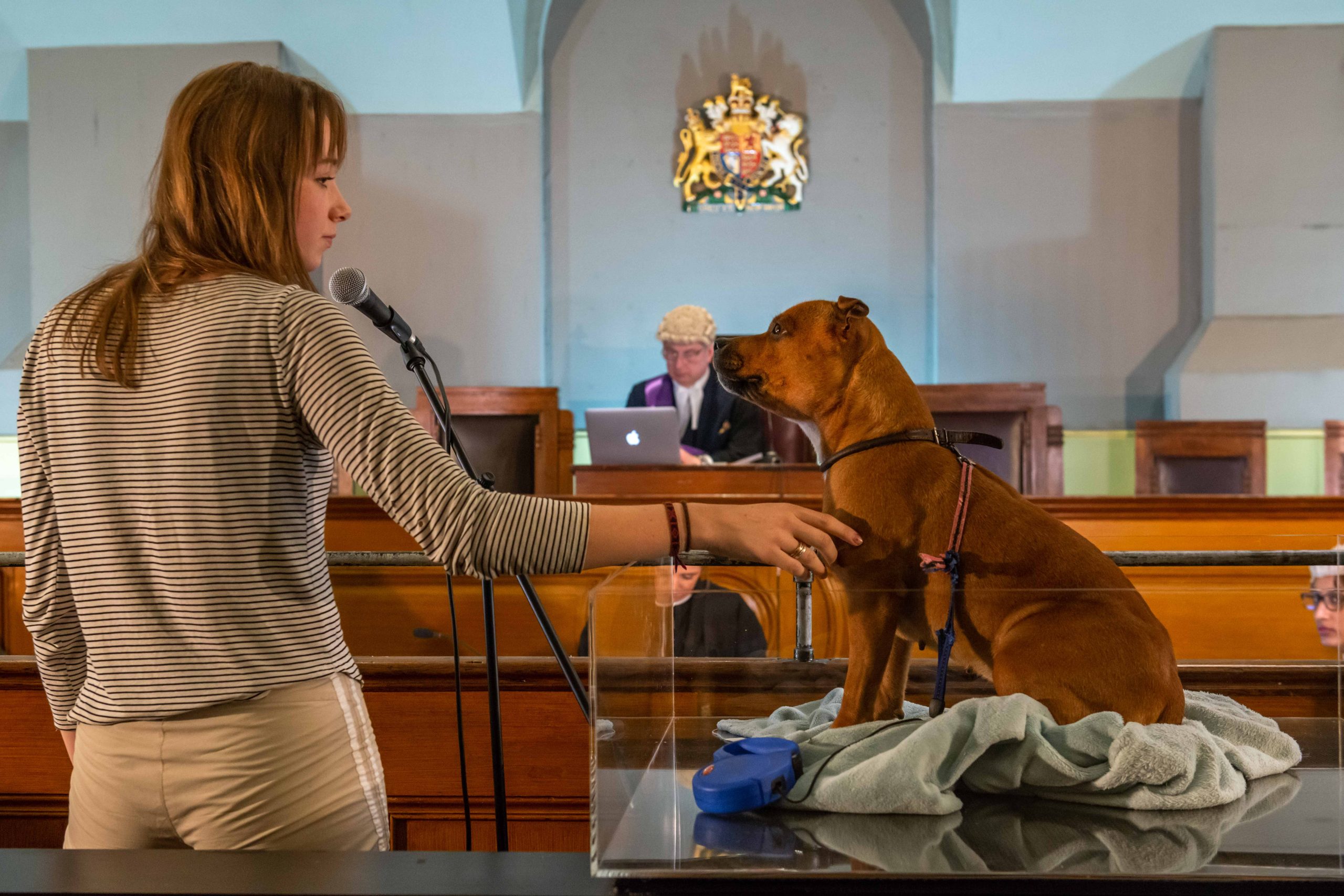 About Compass - Compass Live Art / Compass Festival