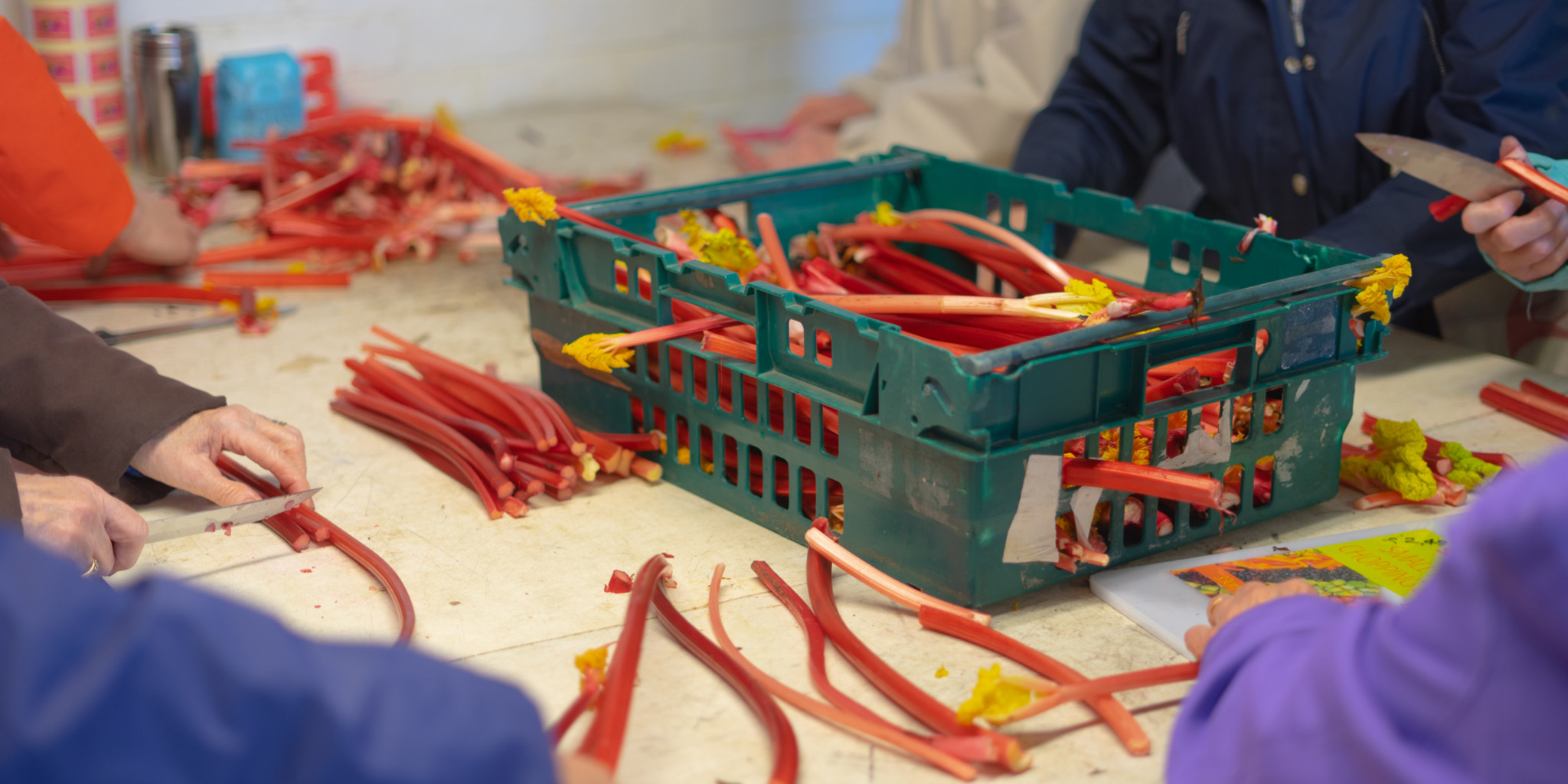 Flavour One - Compass Live Art / Compass Festival