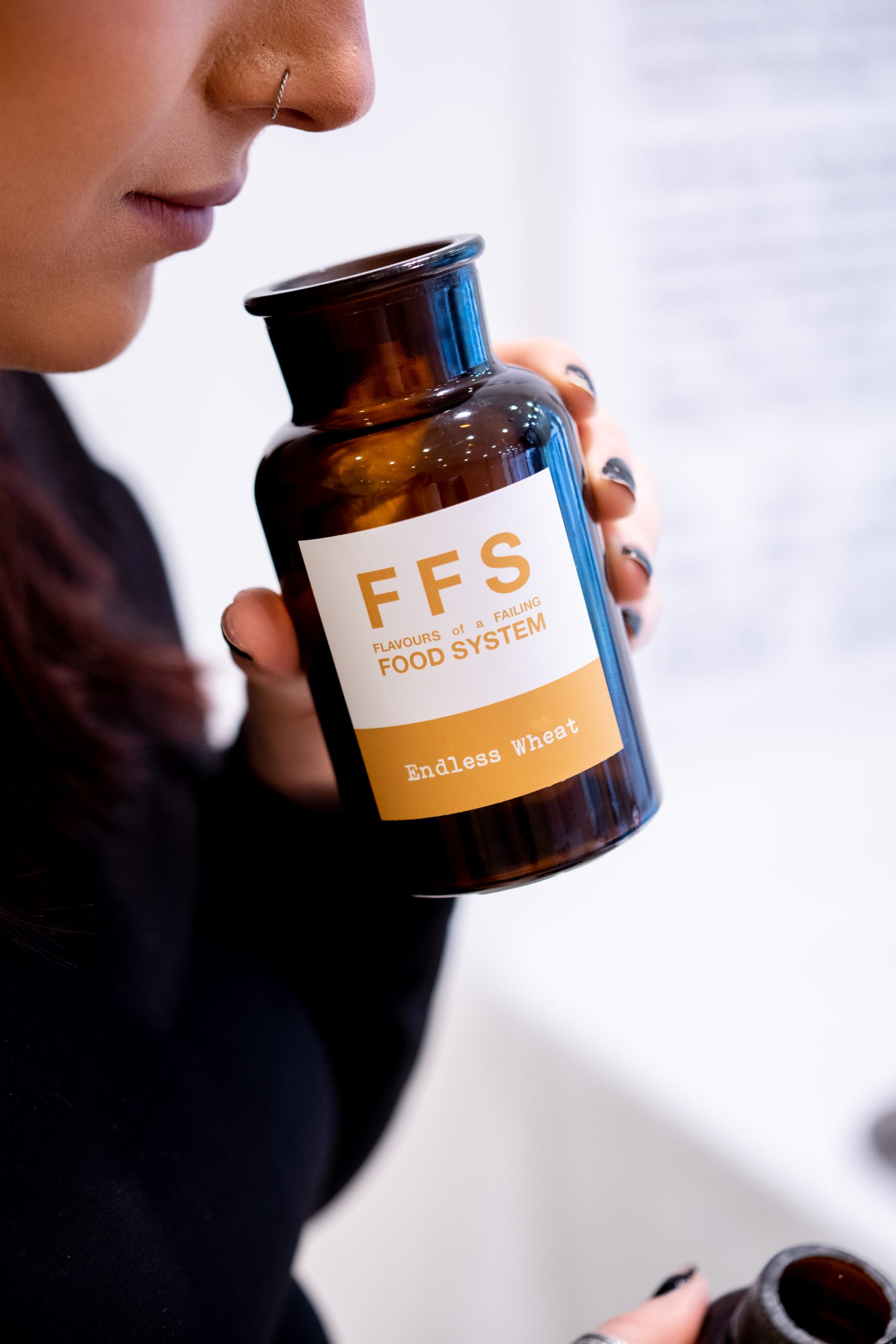 Flavours of FFS Gallery - Compass Live Art / Compass Festival